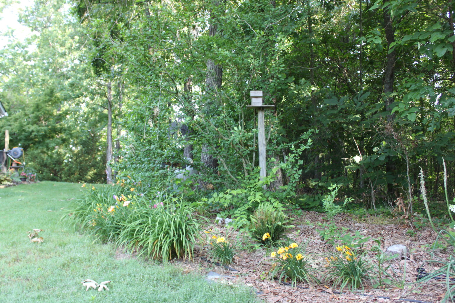 Tracey Johnson - Master Gardeners of Hamilton County